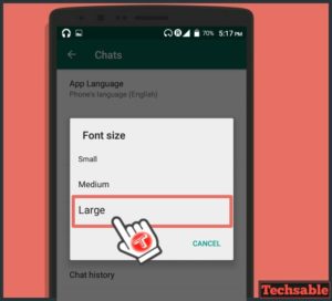 How To Change WhatsApp Font Size - Techsable