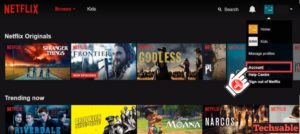 8 Ways On How To Get Free Netflix Account Hack - Techsable